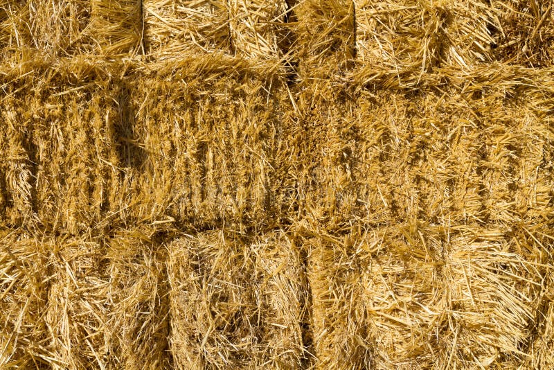 Haystack Wall of Dried Straw Stock Image - Image of grass, haystack ...