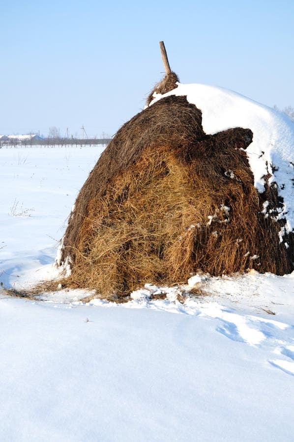 Haystack in winter stock image. Image of grass, farm - 28921289