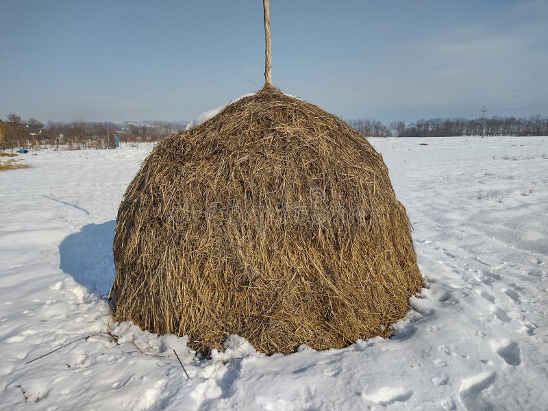 Haystack at Maramures, Romania 5 Stock Photo - Image of maramures ...