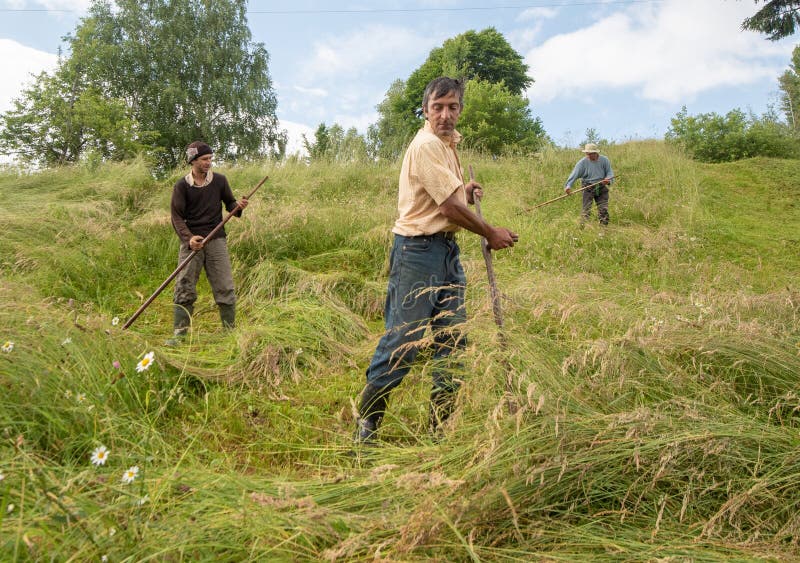 Haystack Workers on Traditional Farming Editorial Photo - Image of ...