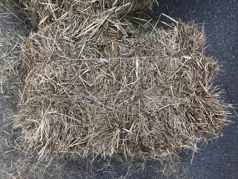 Haystack in the yard stock photo. Image of yard, timber - 249313738