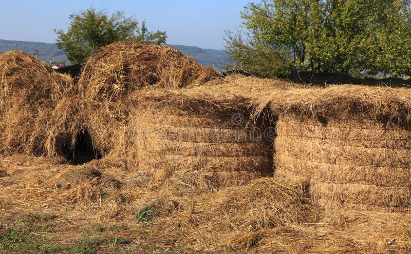 Haystacks stock photo. Image of countryside, autumn, golden - 13118592