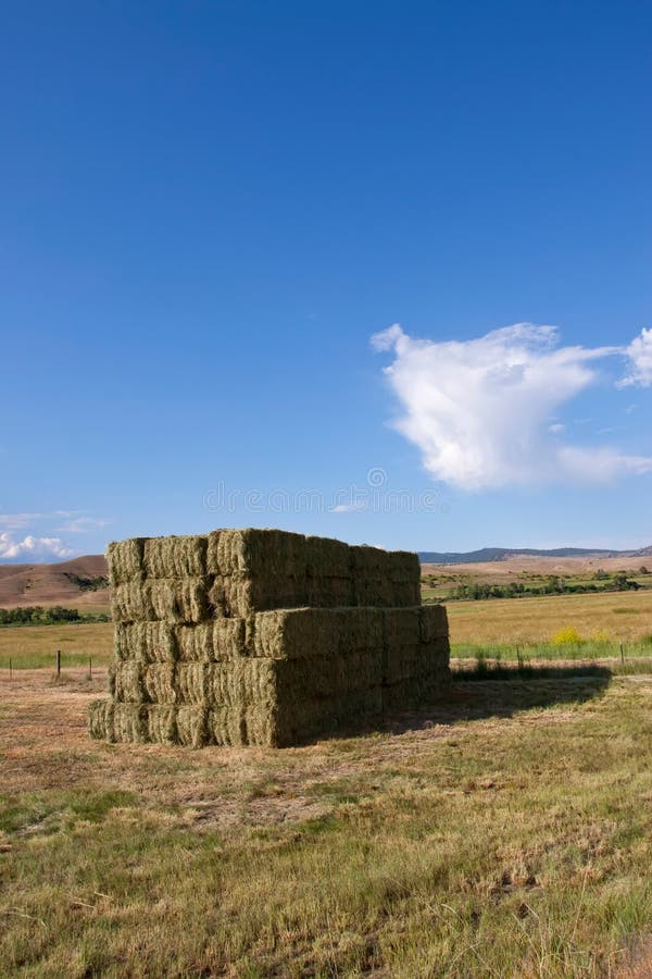 Haystacks stock image. Image of agriculture, scenic, nature - 14019343