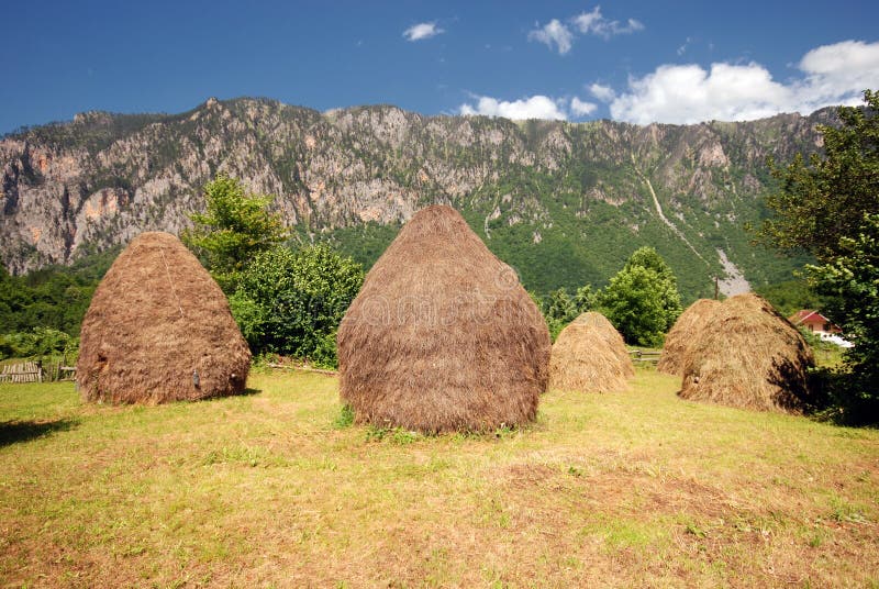 Haystacks stock image. Image of meadow, house, pasture - 20455901