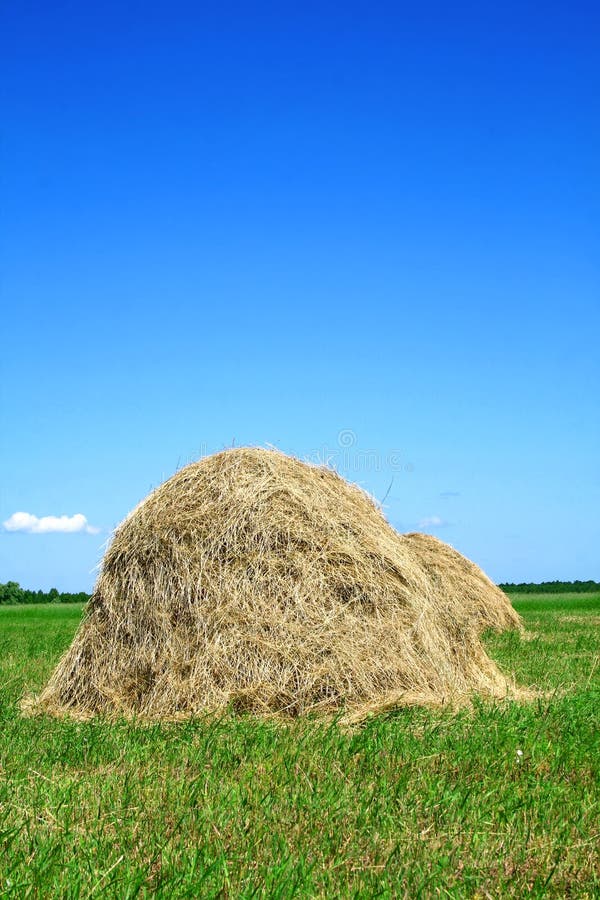 Haystacks stock photo. Image of hayrick, field, harvest - 21645148