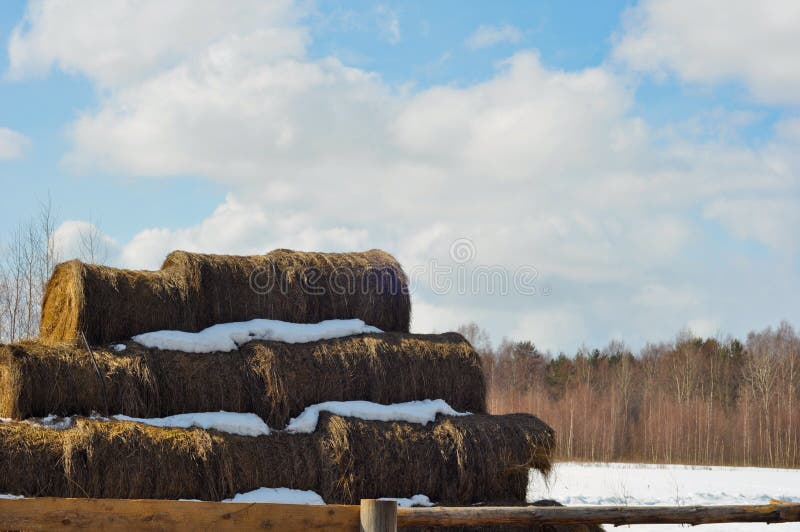 Haystacks stock image. Image of woods, village, stack - 24231051