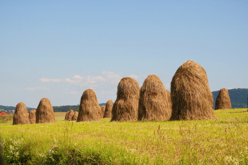 Haystacks stock photo. Image of summer, rick, autumn - 26814712