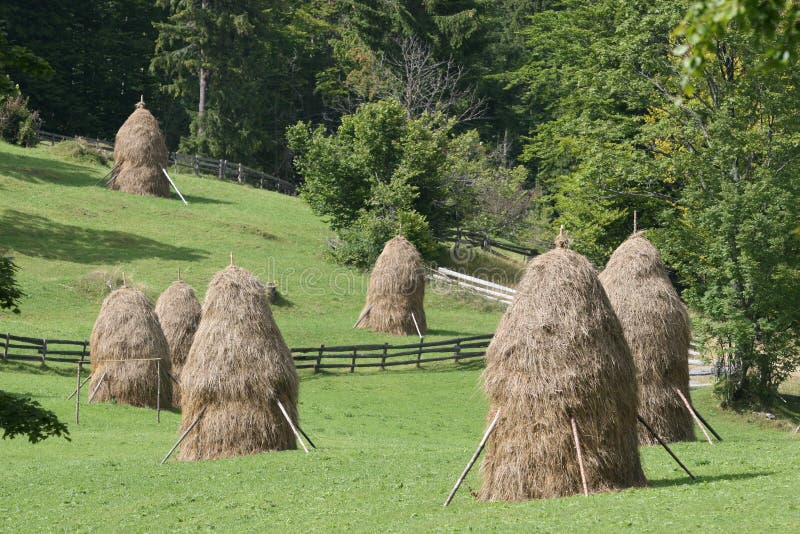 Haystacks stock photo. Image of preserved, landscape - 28232614