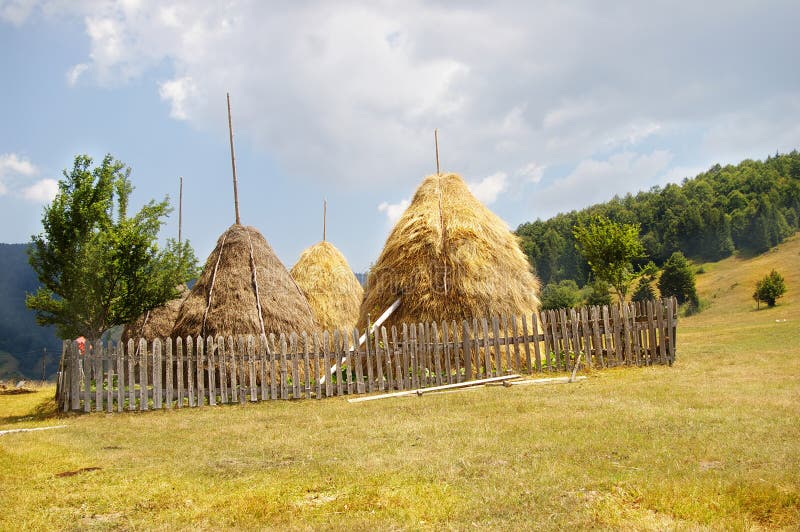 Old-Fashioned Haystack stock photo. Image of north, historic - 2876