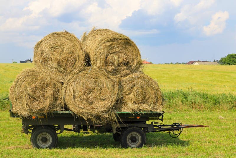 Haystacks by an Agricultural Farm Captured on a Sunny Day Stock Photo ...