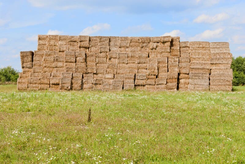 Haystack Big Bales Packaging In Plastic Stock Image - Image of food ...