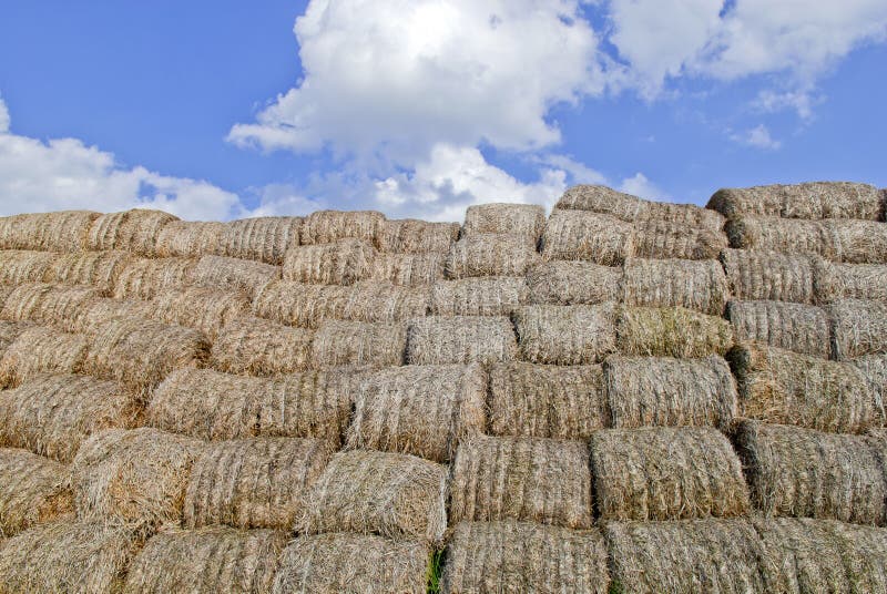Haystack Big Bales Packaging in Plastic Stock Image - Image of food ...