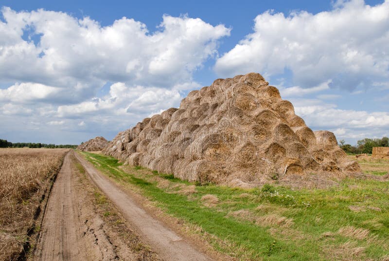 Haystacks Bales in Countryside Stock Photo - Image of grain, blue: 16437072