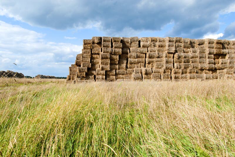 Haystacks Bales in Countryside Stock Photo - Image of grass, view: 16437556