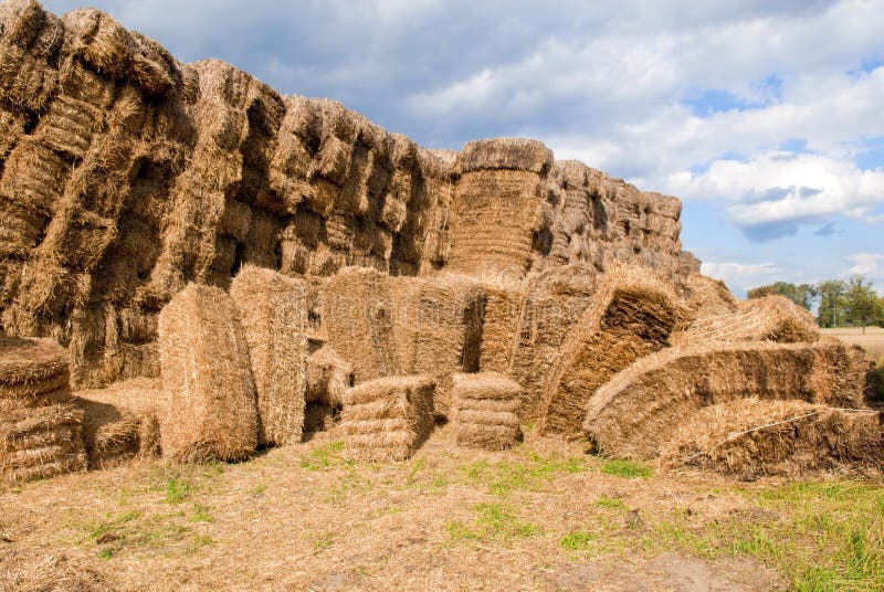Haystack Big Bales Packaging in Plastic Stock Image - Image of food ...