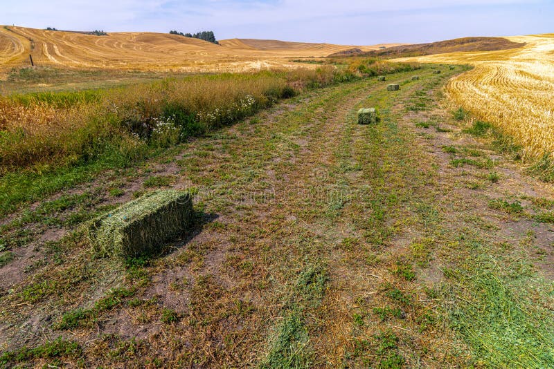 Haystacks in Fall stock photo. Image of hayrick, gold - 199414494