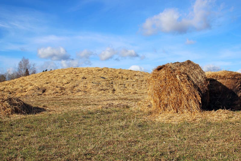 Haystacks on the farm stock image. Image of countryside - 38780865