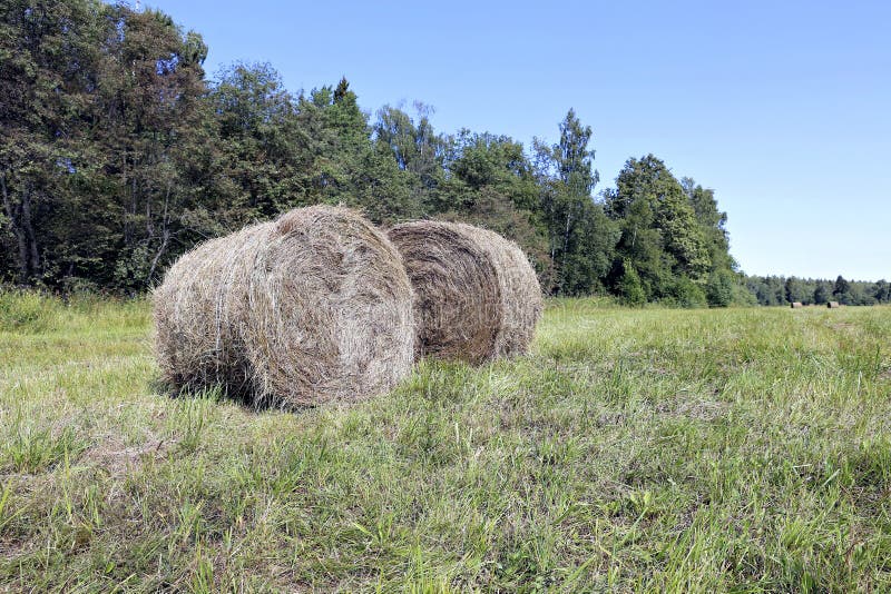 Haystacks on the farm stock image. Image of countryside - 38780865