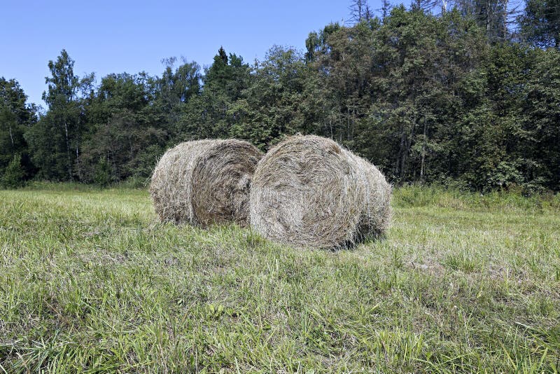 Haystacks on the farm stock image. Image of countryside - 38780865
