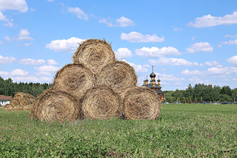 Haystacks on the farm stock image. Image of harvest, seeds - 57106279
