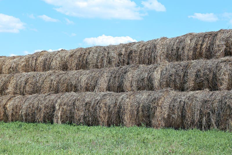 Haystacks on the farm stock image. Image of countryside - 38780865