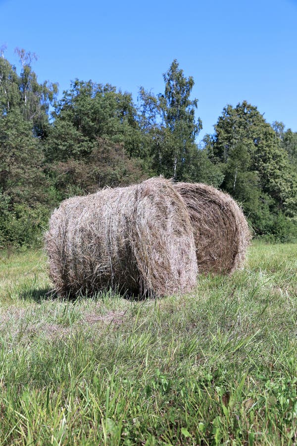 Haystacks on the farm stock image. Image of countryside - 38780865