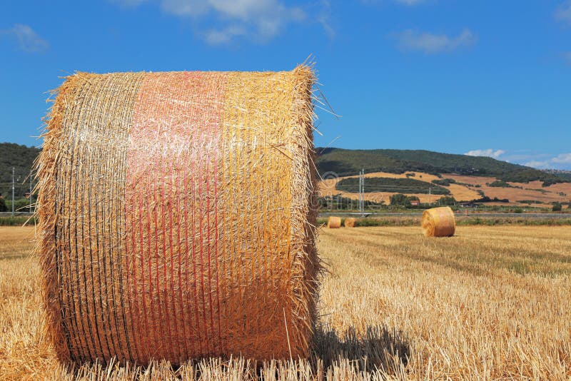 Haystacks in the Field after Harvest. Dry Straw on Haystack Field ...