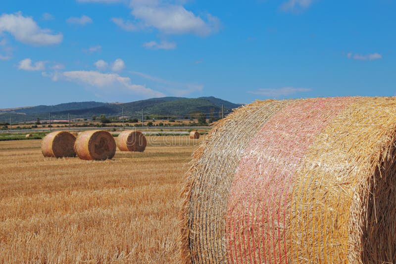 Haystacks in the Field after Harvest. Dry Straw on Haystack Field ...