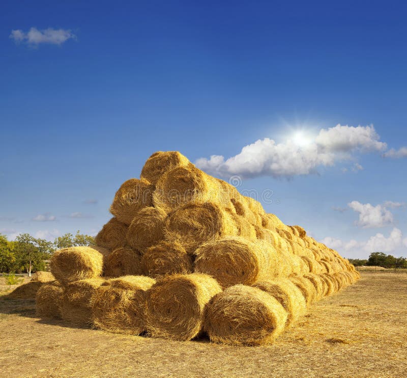 Haystacks on the Field. Old Tractor and Hay Stack Stock Photo - Image ...