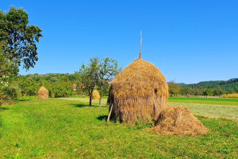 Haystacks in a Field in Romania Stock Photo - Image of meadow, fall ...