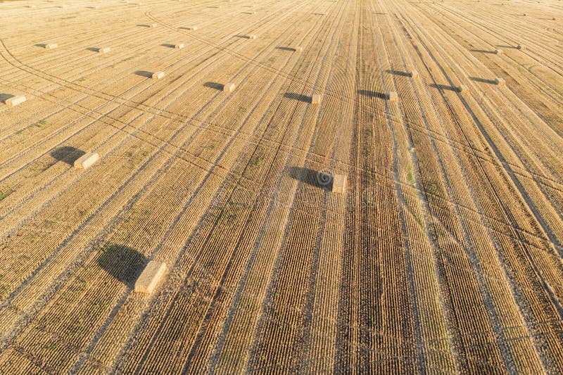 Haystacks in the Field - Top View Stock Image - Image of agricultural ...