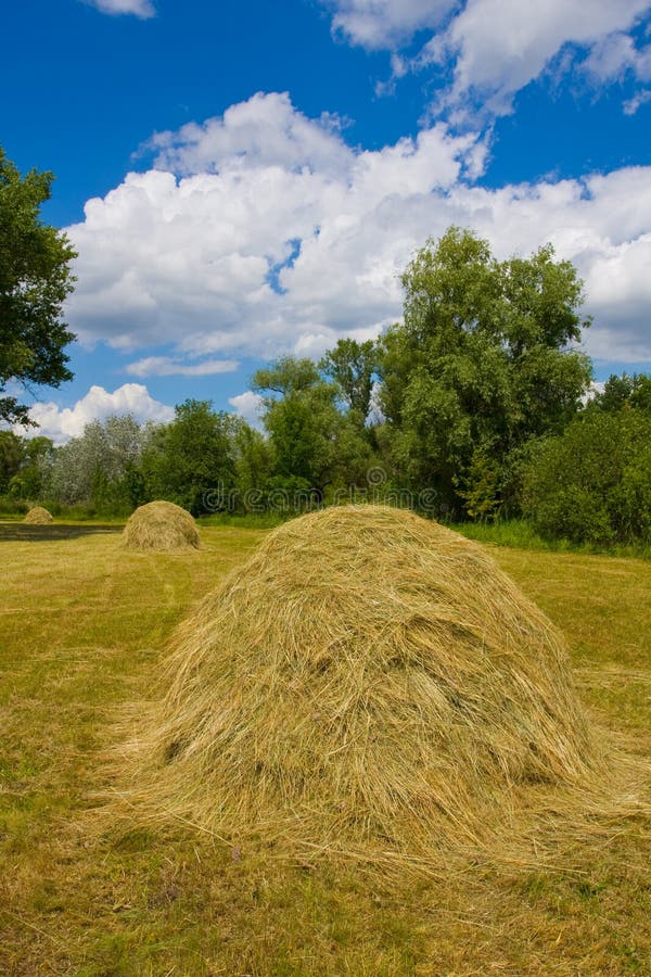 Haystacks in forest stock image. Image of country, meadow - 10584507