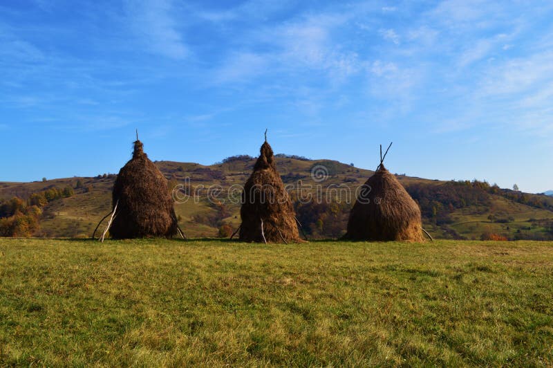 Haystacks stock photo. Image of fall, haystacks, food - 46668516