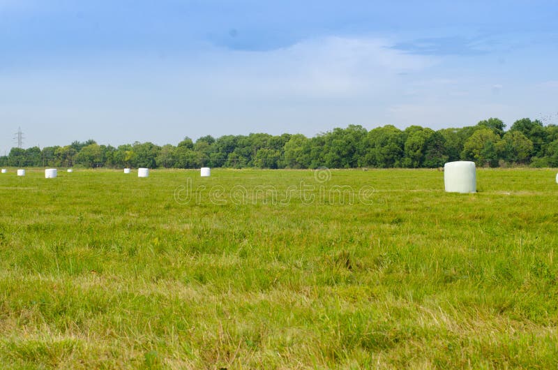 279 Big Haystacks Photos - Free & Royalty-Free Stock Photos from Dreamstime