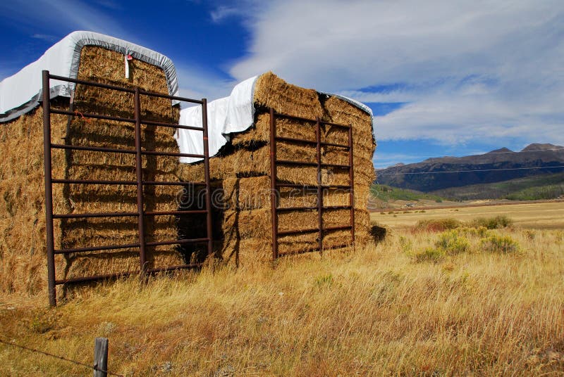 Haystacks stock photo. Image of farm, plains, harvesting - 35007850