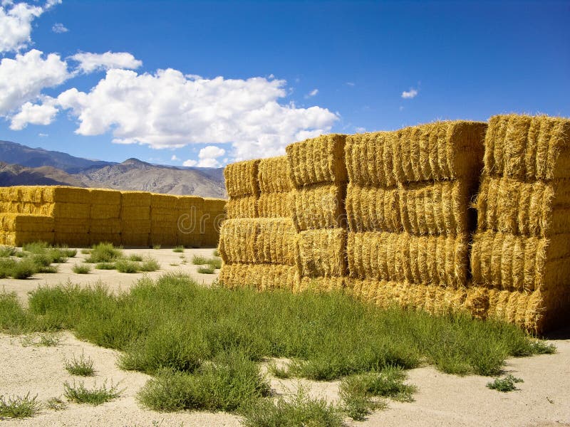 Haystacks in the High Desert Stock Image - Image of fall, blue: 27084177