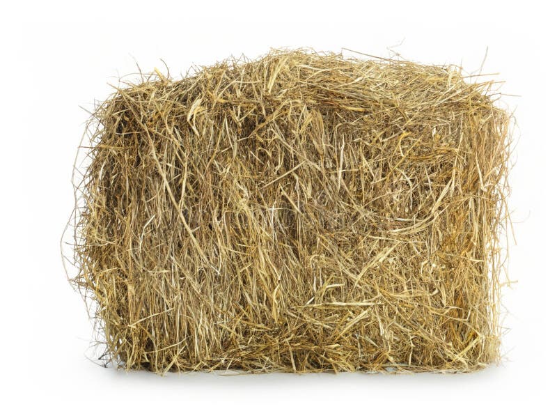 Haystacks Isolated on White Background Stock Image - Image of farming ...