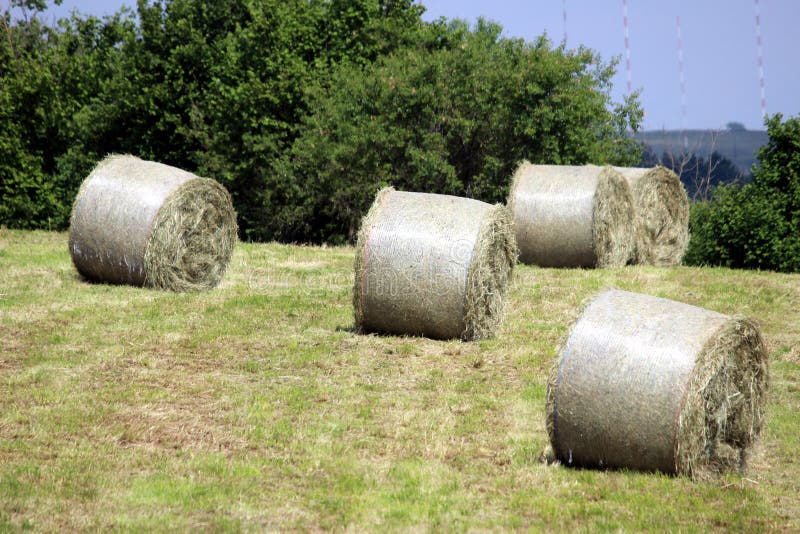 Haystacks stock photo. Image of spring, collect, field - 32557400