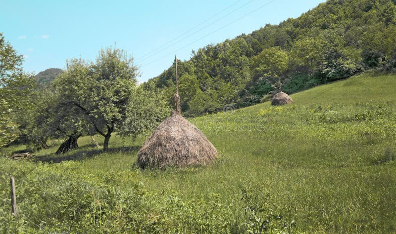 Haystacks stock image. Image of meadow, farmland, agricultural - 55344921