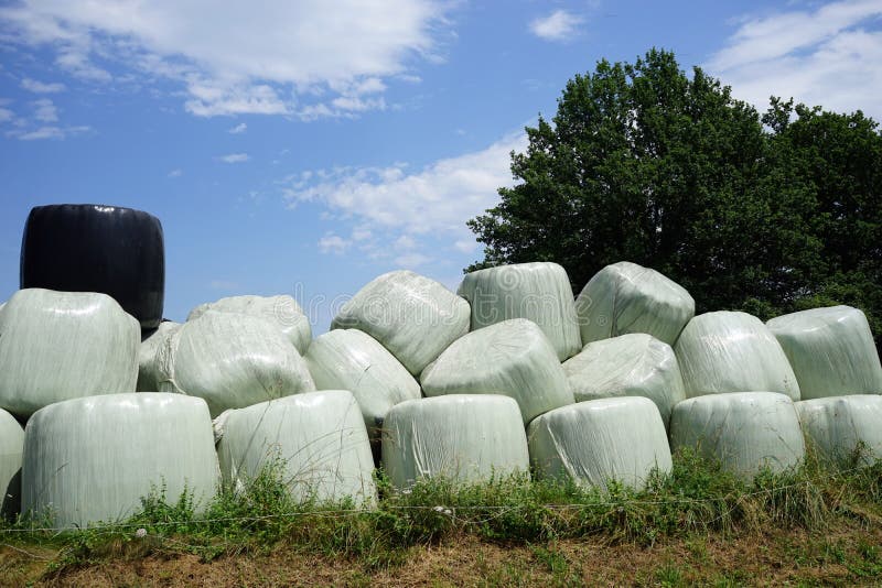 Haystacks stock image. Image of environment, landscaped - 65355847