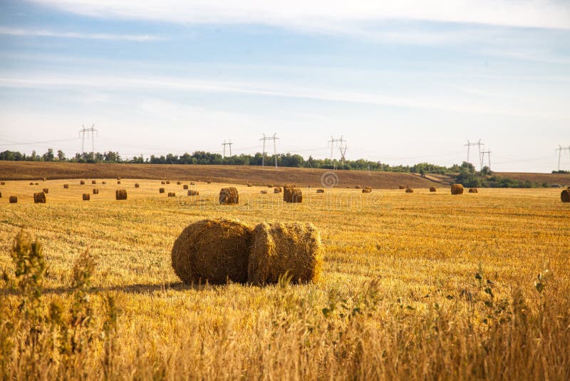 Haystacks ready for autumn stock photo. Image of finish - 78522558