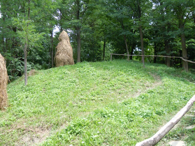 Haystacks between the Trees Stock Image - Image of romanian, trees ...