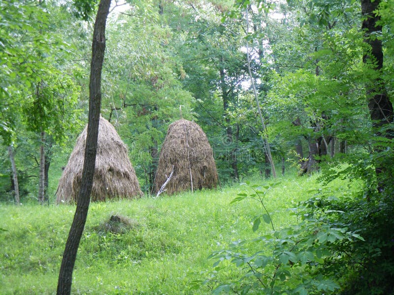 Haystacks between the Trees Stock Photo - Image of gardens, green ...