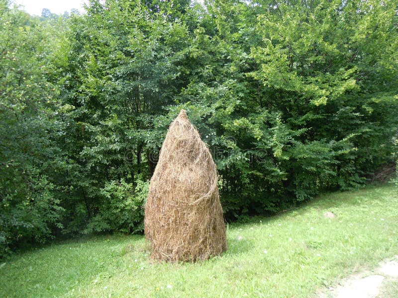 Haystacks between the Trees Stock Photo - Image of village, cobbled ...