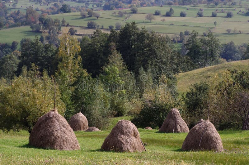 Haystacks stock photo. Image of bird, mountains, forest - 22171468