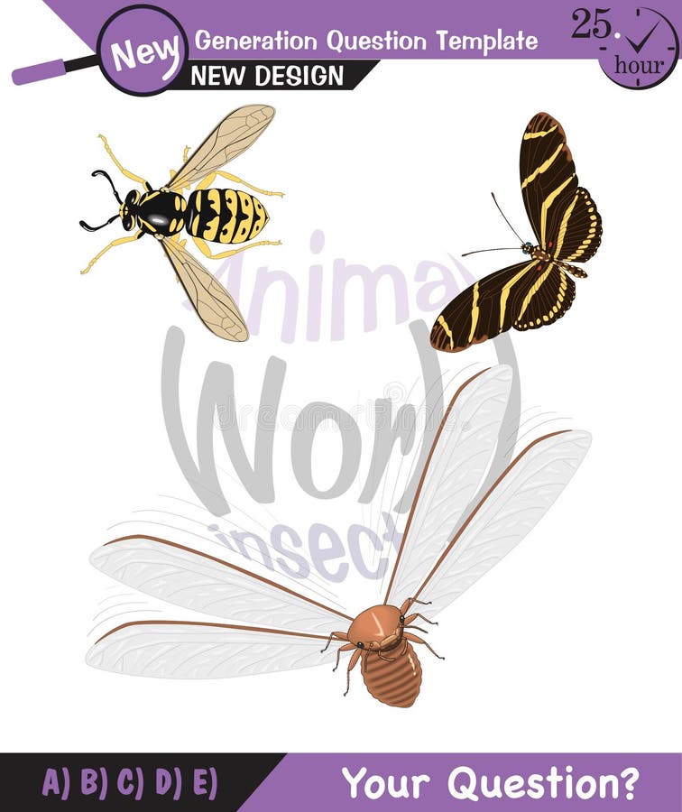 Animal World, Insects, Vector, Eps, New Generation Question Template ...