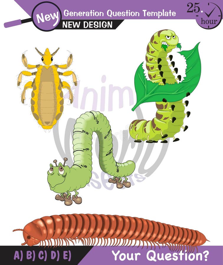 Animal World, Insects, Vector, Eps, New Generation Question Template ...