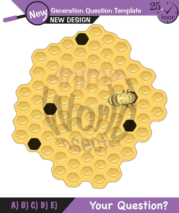 Animal World, Insects, Vector, Eps, New Generation Question Template ...