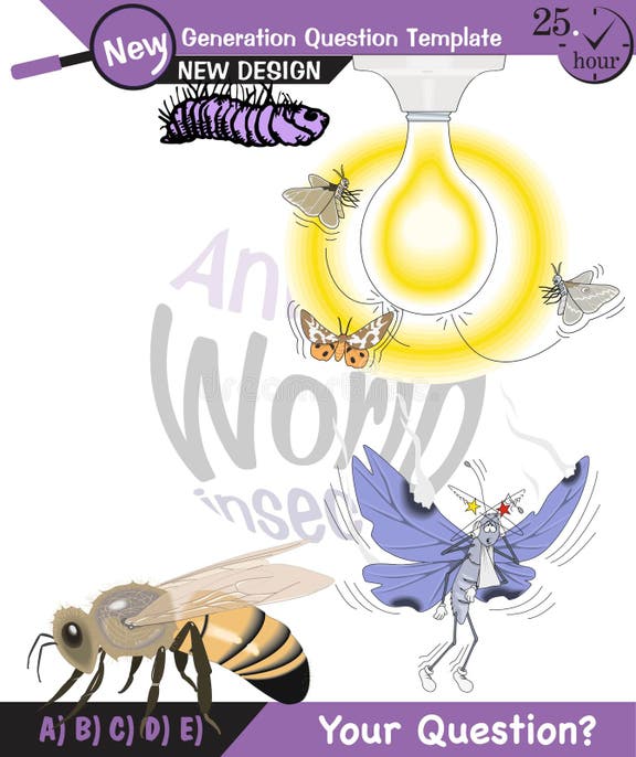Animal World, Insects, Vector, Eps, New Generation Question Template ...