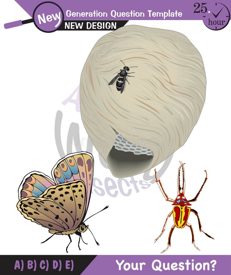 Animal World, Insects, Vector, Eps, New Generation Question Template ...